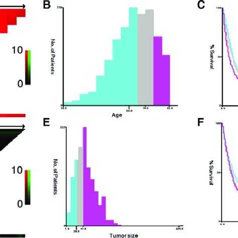 The X Tile Analysis Of Best Cutoff Points Of Age And Tumor Size Download Scientific Diagram