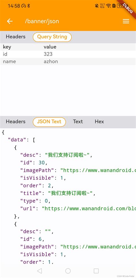 Flutter 开发、测试，网络调试工具flutter 查看网络请求 Csdn博客