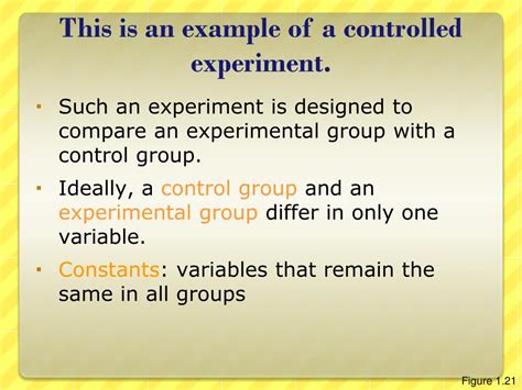 Ppt The Scientific Process Powerpoint Presentation Free Download Id 6192818