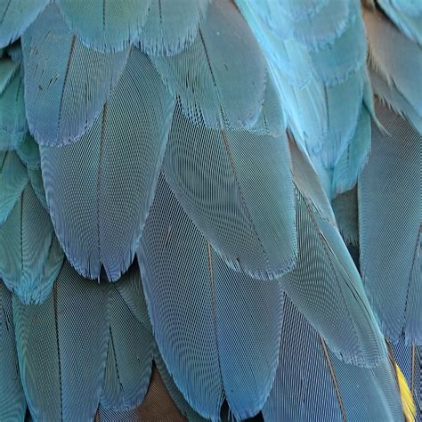 Hat Decorating Ideas