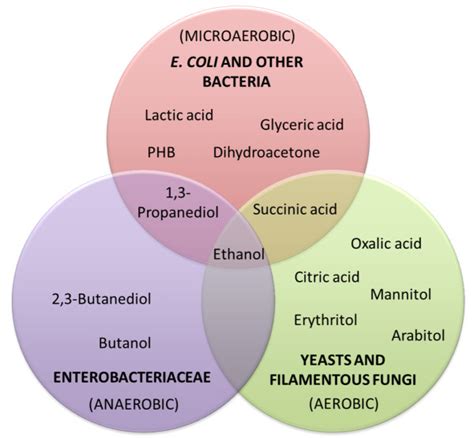 Examples Of Chemicals Produced By Microbial Fermentation Of Crude Download Scientific Diagram