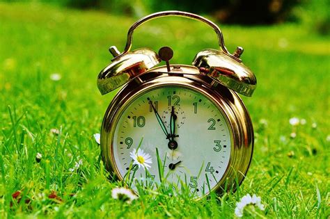 Clock Indicator Images Free Photos Png Stickers Wallpapers