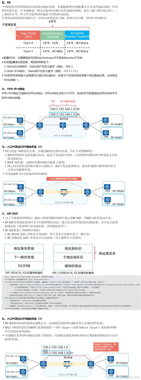 mpls vpn技术专题（学生党期末备考） csdn博客