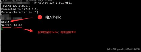 Linux 宝塔 Nginx Php80 安装swoole调试测试小白详细图文教程swoole Loader80 Csdn博客