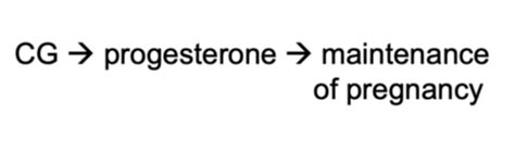 Lecture 3 Flashcards Quizlet