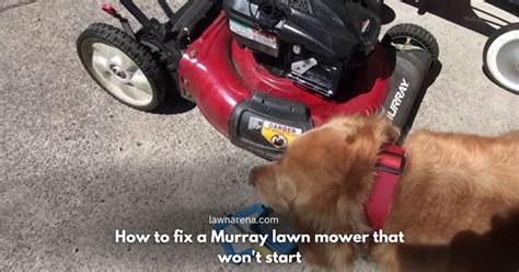 How To Fix A Murray Lawn Mower at Jacqueline Sadler blog