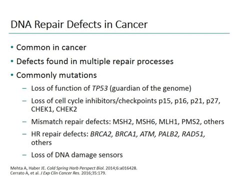 An Introduction to DNA Damage Repair in Cancer: Beyond PARP - ppt download