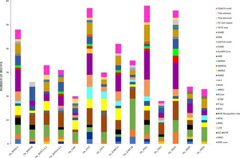 Analysis Of Cis Acting Regulatory Elements In The Putative Promoter Download Scientific Diagram