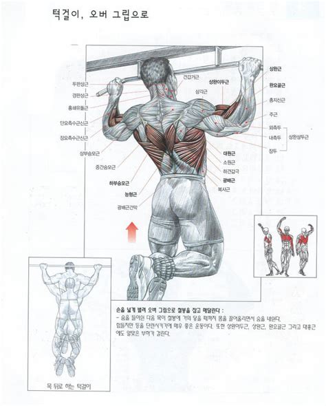각 부위별 근육명칭 네이버 블로그