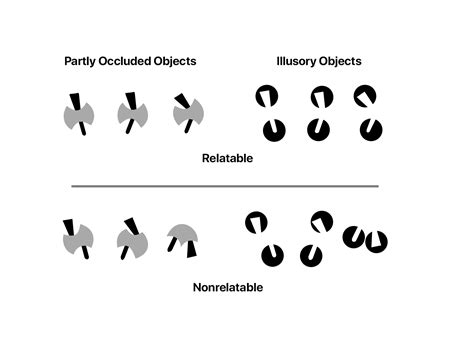 Ucla Human Perception Laboratory
