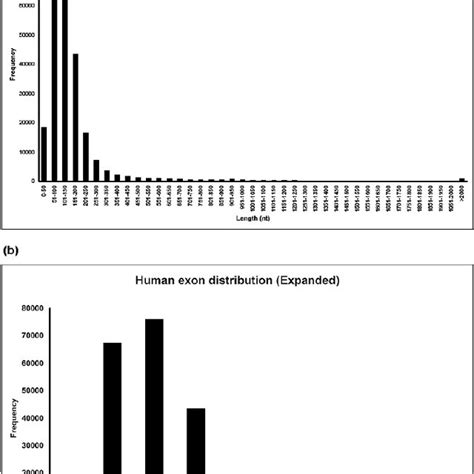 A Frequency Of Exon Length Distributions For Human Genome A And Its