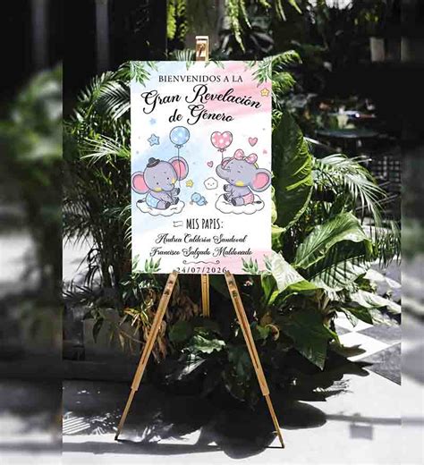 Letrero Para Revelacion De Sexo Mod Supercreativa