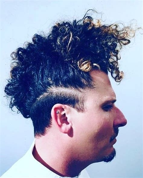 Pompadour Curly