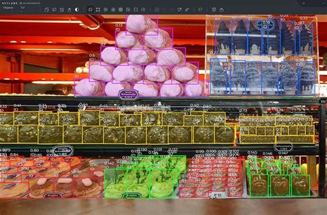 Overcoming Data Labeling Challenges Expert Solutions