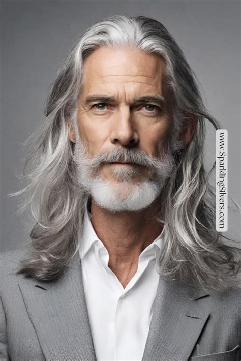Modern Gray Hairstyles For Men Sparklingsilvers Grey Hair Men