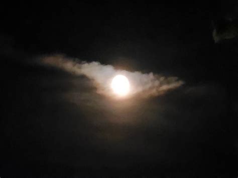 Bug 🐛 🪲 Detector Samsung Community