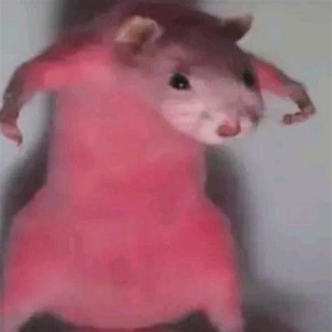 Brystol Wartner Youtube