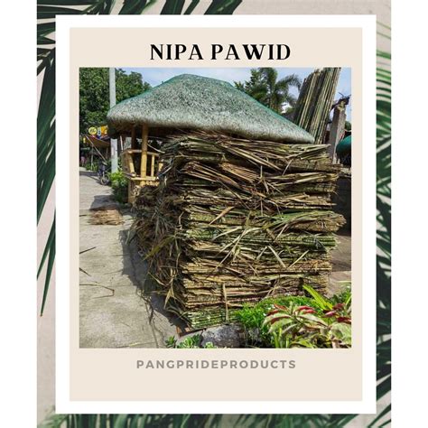 10 Pcs Nipa Pawid Roof Hut For Making Bahay Kubo Gazebo Pinaor In Pangasinan 2ft Shopee