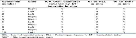 Proposed Clinical Internal Carotid Artery Classification Sys