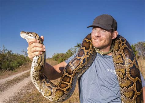Get To Know The Burmese Python Wildest