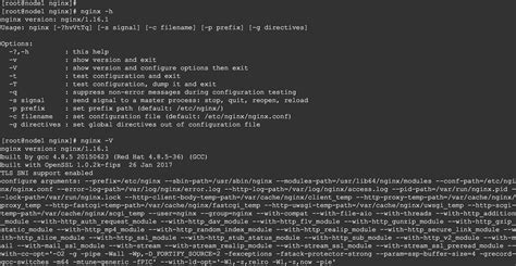 Nginx流量复制 废物大师兄 博客园