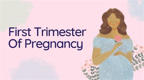 The First Trimester Of Pregnancy All You Need To Know