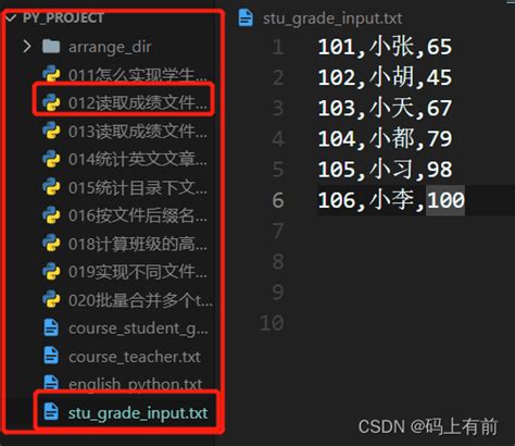 【python基础练习100题 第二篇：文件篇】 python文件练习题 csdn博客