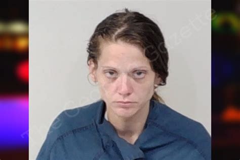 Cynthia Cannady — Lowndes County Jail Bookings