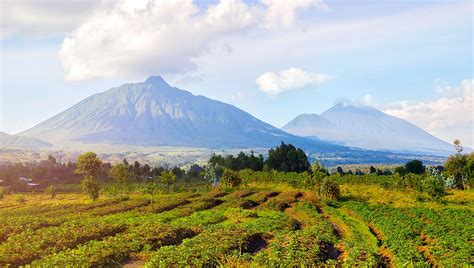 Mount Karisimbi Volcanoes National Park Rwanda