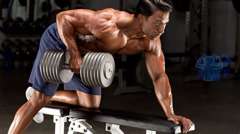 Dumbbell Bicep Rows