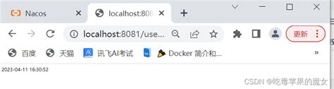 nacos报错java lang nullpointerexception pattern nacosserviceregistry