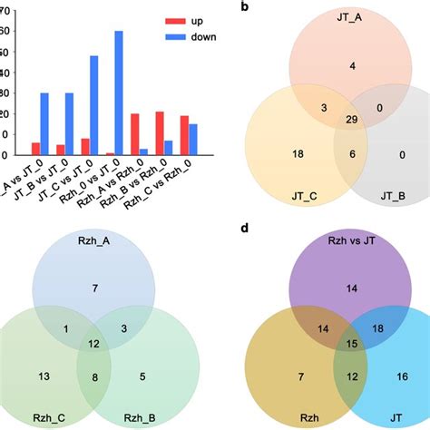 Small Rna Sequencing Quality And Length Distribution A Total Srna Download Scientific