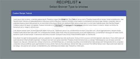 Angularjs Issue With Inputs And Their Labels Showing Ontop Of Pop Up