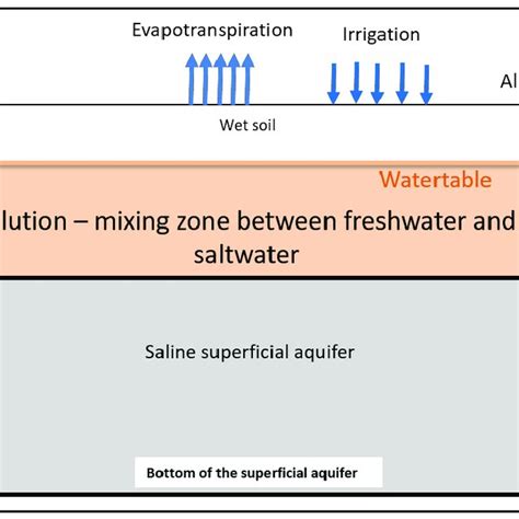 Conceptual Model Of The Water And Saline Functioning Of The Download Scientific Diagram