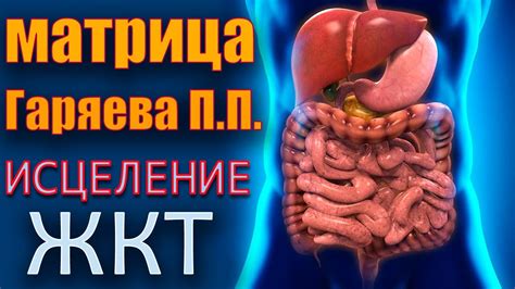 Матрица Гаряева для исцеления ЖКТ Желудочно кишечного тракта нормализация обмена веществ Youtube