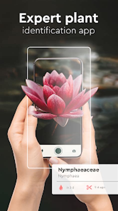 Plant Identifier Insect Id Para Android Descargar