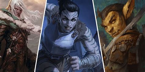 Try Playing A Dnd Ranger With One Of These Race Options Next Time