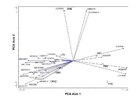 Multivariate Methods Principal Component Analysis Pca The Idea