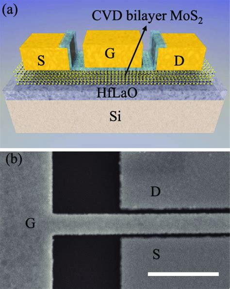 A Schematic Of Cvd Bilayer Mos 2 Transistor B Scanning Electron