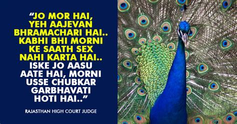 Judge Said Peacocks Never Have Sex And Mate Through Tears But Heres How They Actually Mate Rvcj