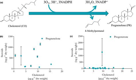 17a Hydroxylase And 1720 Lyase Reactions The Conversion Of