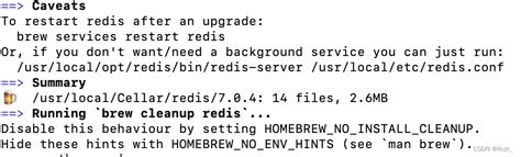 mac系统下golang如何连接redis mac redis go 运行failed to build redis connection