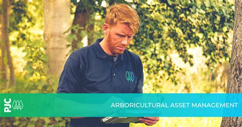 Arboricultural Asset Management Tree Asset Surveys