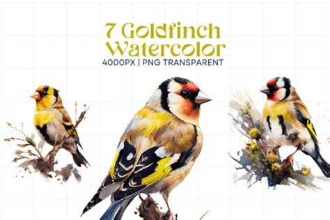 Adonis Blue Png Elements Clipart Graphic By Akimtancreative · Creative Fabrica