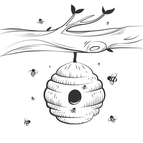 손으로 그린 벌집 그림 그리기 무료 벡터