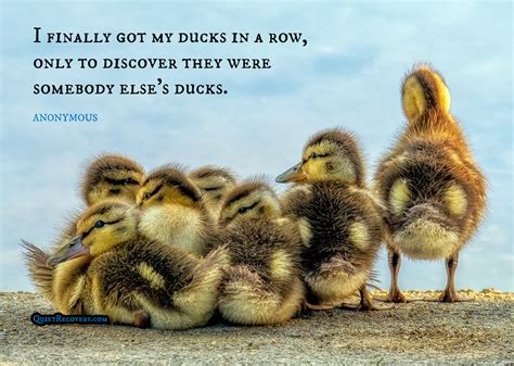 Inspirational Duck Quotes