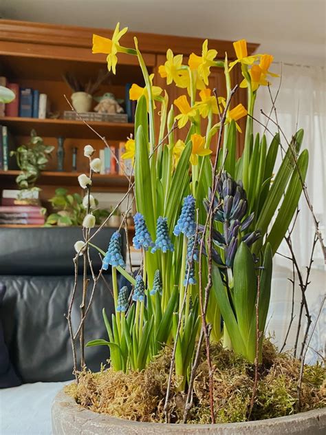 Im Rhythmus Der Jahreszeiten Im Frühling Zu Hause — The Old Mom Blog