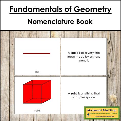 Fundamental Concepts Of Geometry Book Made By Teachers