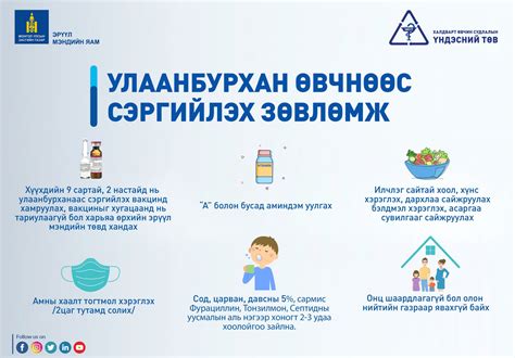 УЛААНБУРХАН ӨВЧНӨӨС СЭРГИЙЛЭХ ЗӨВЛӨМЖ БАЯН ӨЛГИЙ АЙМГИЙН ЭРҮҮЛ