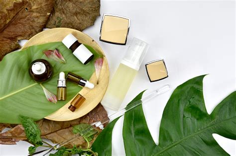 화장품 병 용기 녹색 허브 잎 브랜딩 모형 자연 유기 미용 제품 개념에 대 한 빈 레이블 패키지 개념에 대한 스톡 사진 및 기타 이미지 Istock